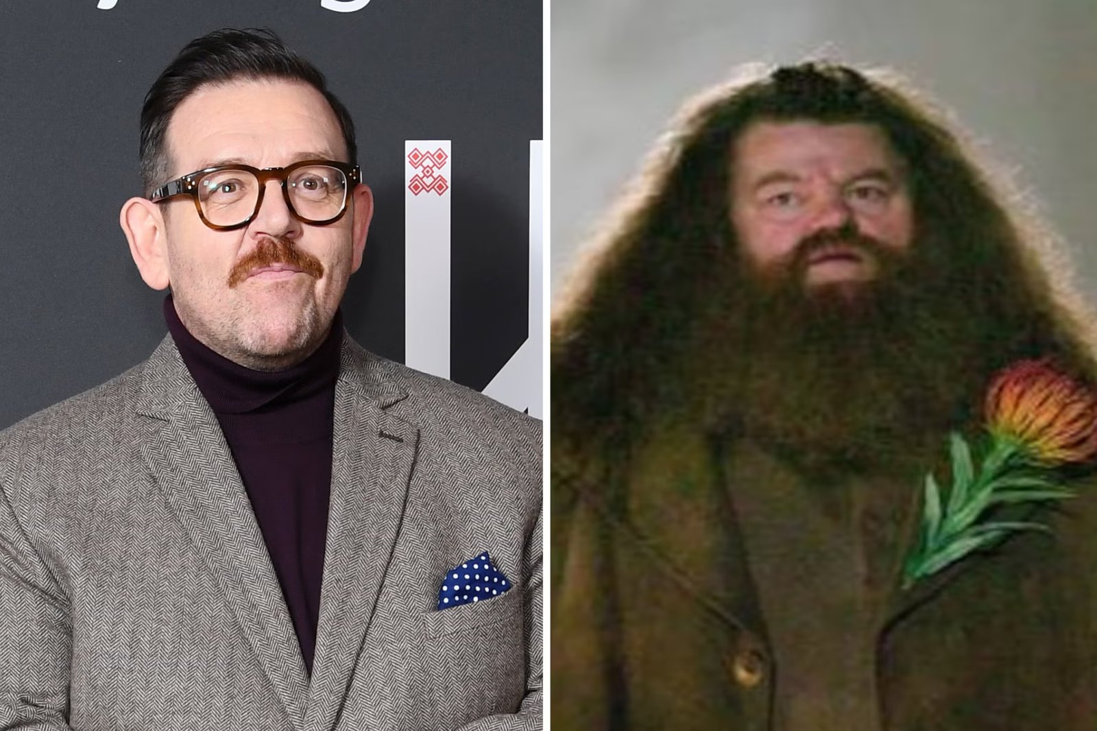 Nick Frost diz que ‘algumas pessoas não vão gostar’ de seu Hagrid na ...